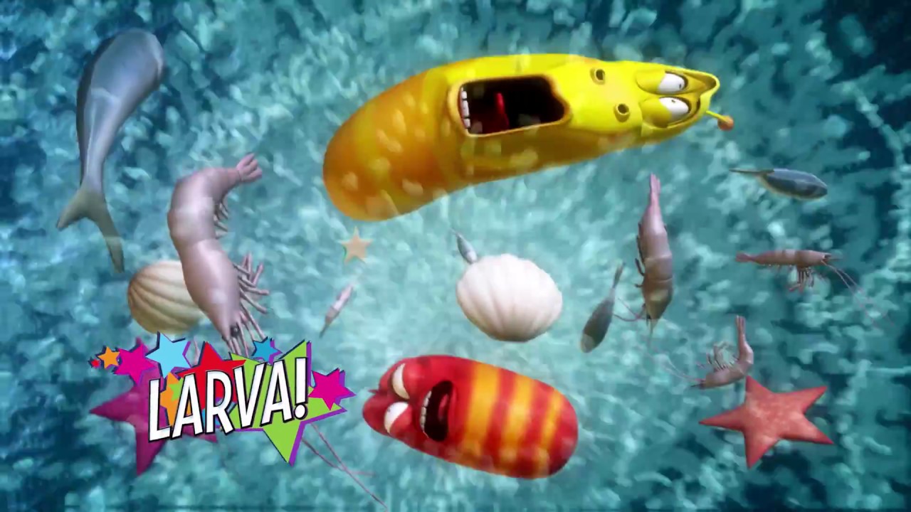 Watch It Again! Wonderama On Demand: That Physics Show, Will The Thrill ...