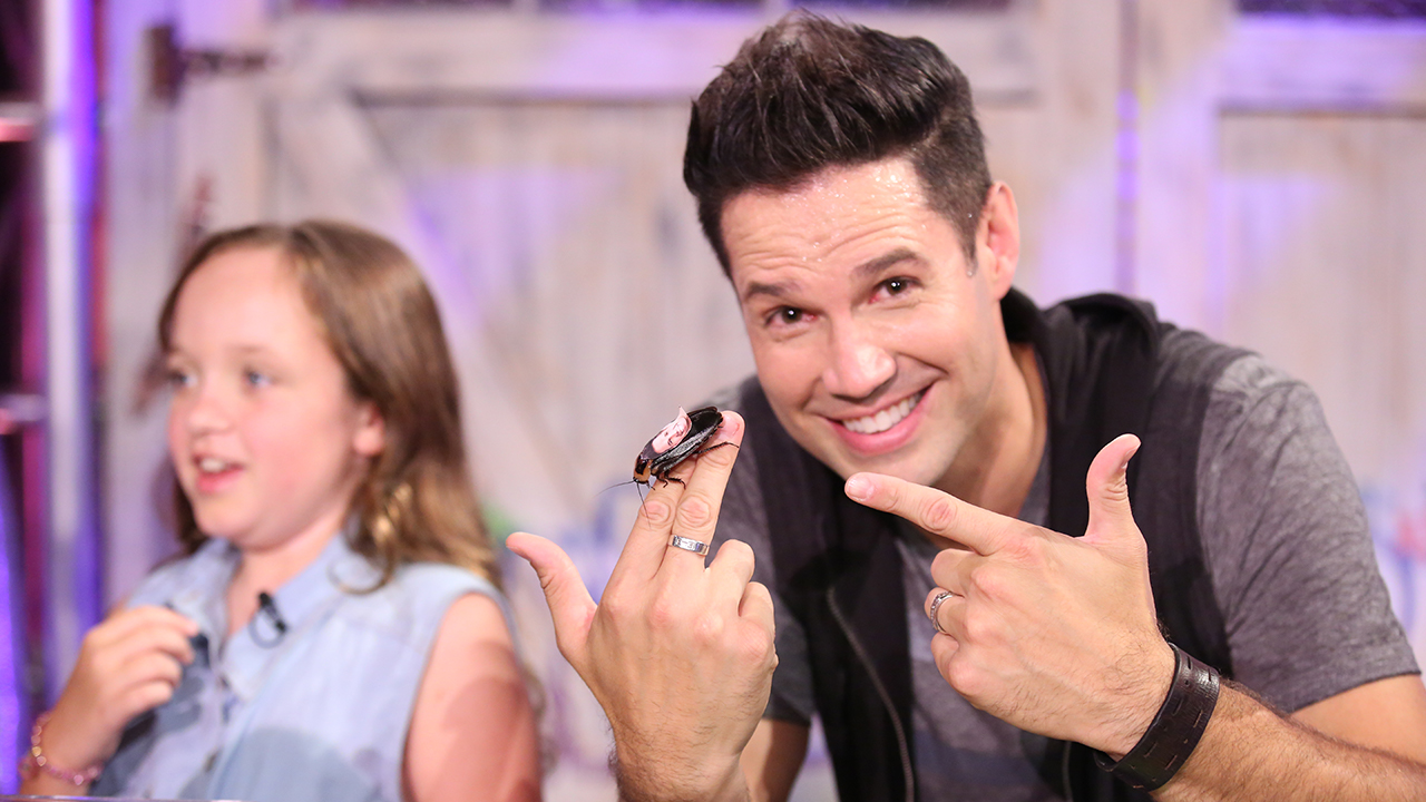 Wonderama: The Best of Animals! - Wonderama